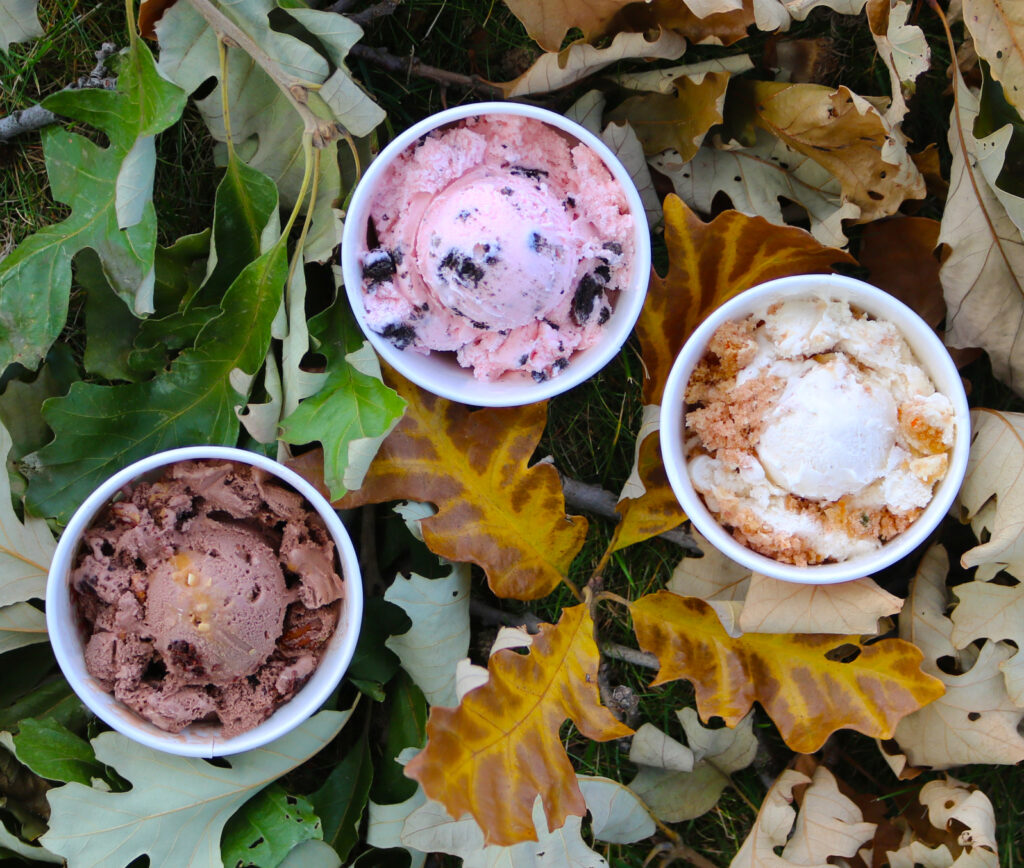 First day of fall & the return of fall flavors! - Whitey's Ice Cream