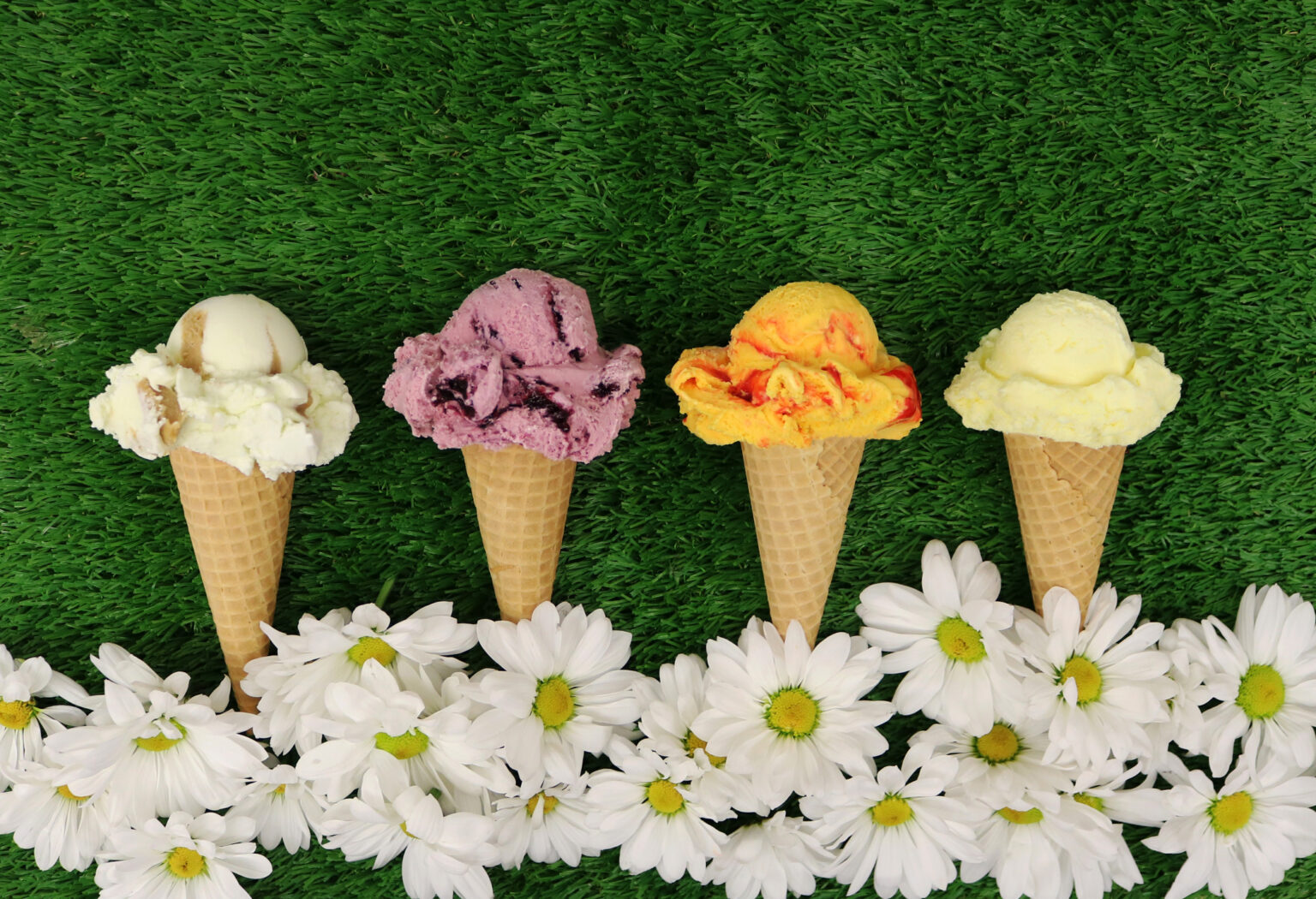 Home - Whitey's Ice Cream